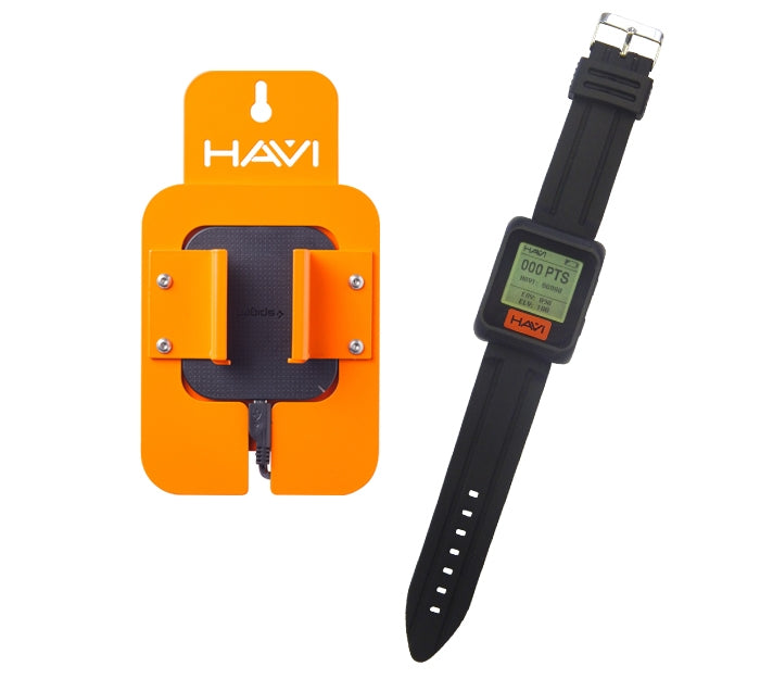 HAVi Watch and Charger – HavControl